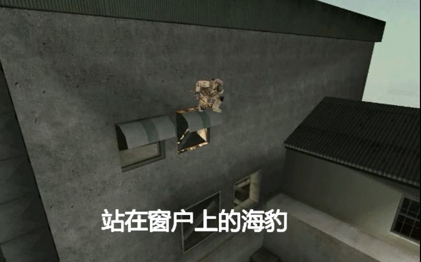 CF学了好久才会的BUG 你会几个