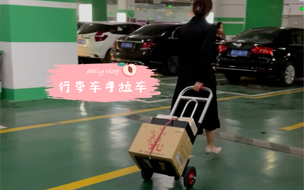 泽达小拉车学校出差专用手拉车折叠手拖车家用搬运拖车购物买菜摆摊...