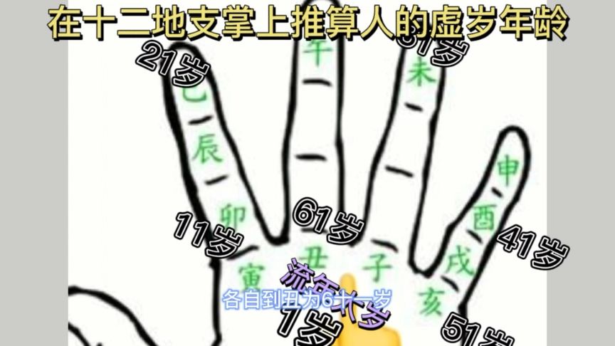 用十二地支掌推算人的虚岁年龄