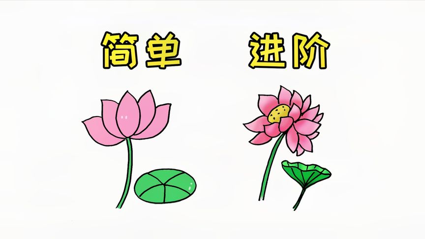 一步一步画儿童荷花简笔画,简单又好看,猜猜第二种荷花叫什么?