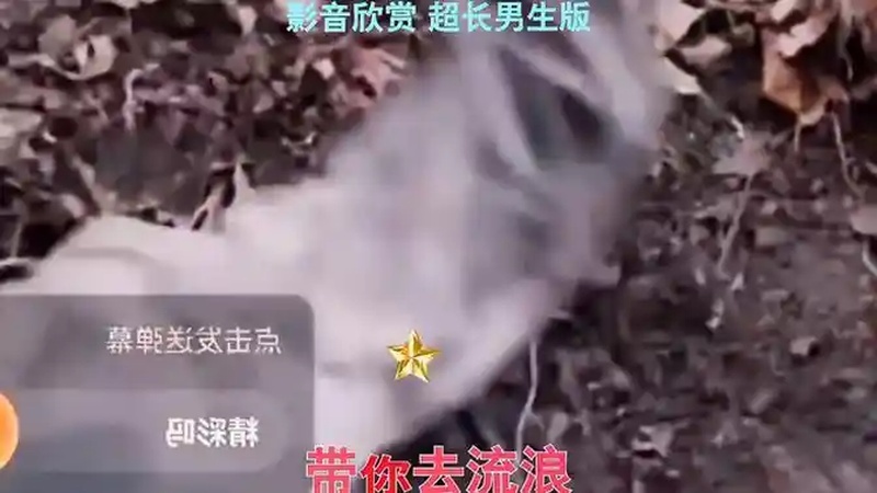 音乐
