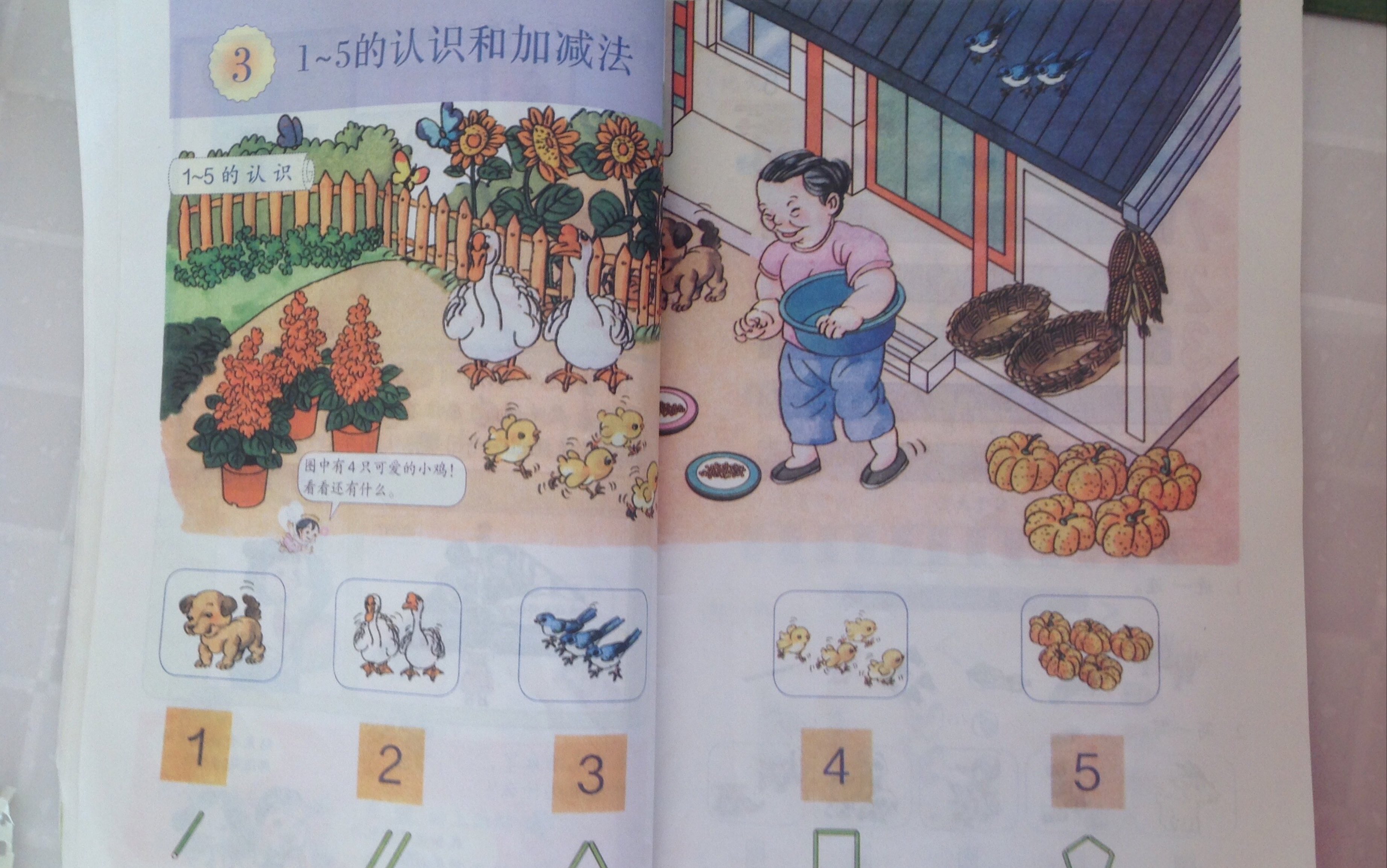 小学数学教师资格证面试 《1～5的认识》人教版一年级上册 讲完了这...