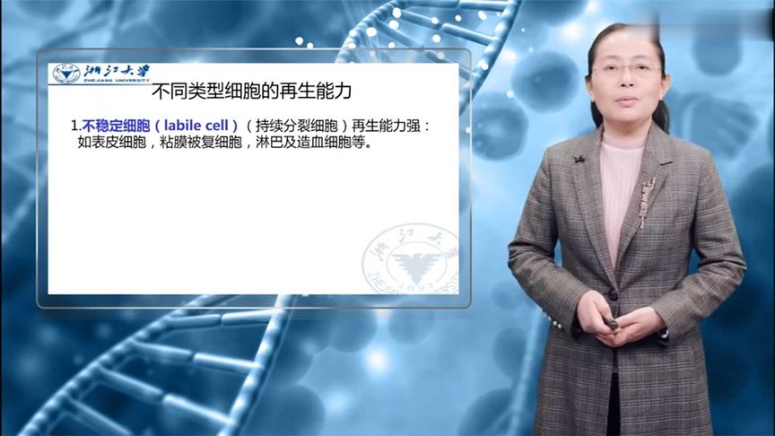 人体探秘:1.6细胞和组织的修复
