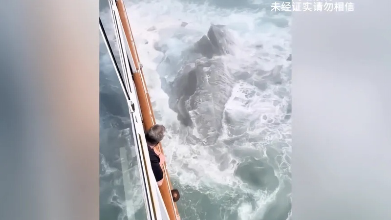 河中自由行走的是什么人停在森林的飞行器匪夷所思的8个画面