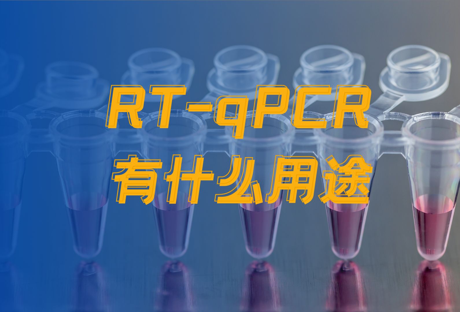 【RT-PCR讲座】RT-PCR有什么用途