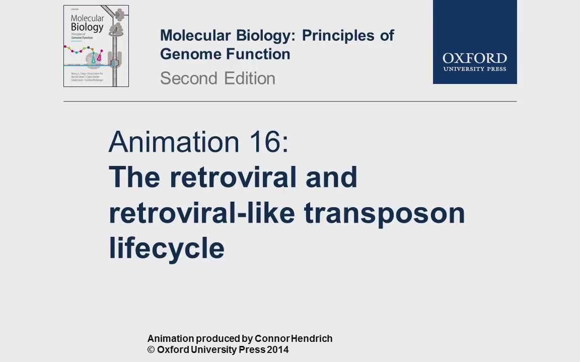【动画】逆转录病毒和转座子 The retroviral and transposon lifecycle《...