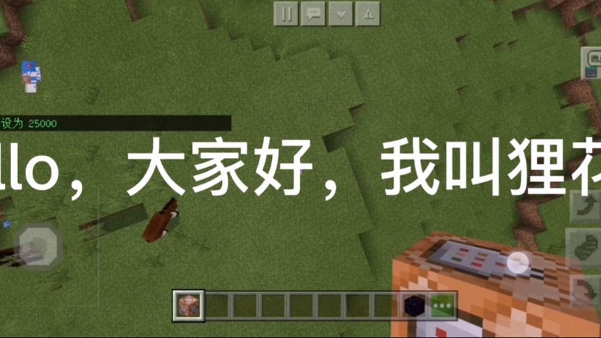 我的世界防命令方块刷屏指令