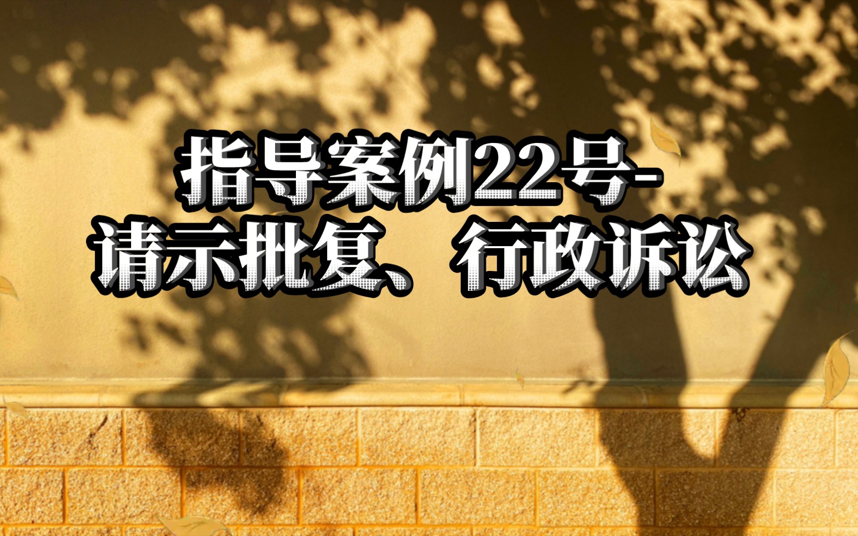 指导案例22号-请示批复、行政诉讼(详细内容请至最高法网站查阅)