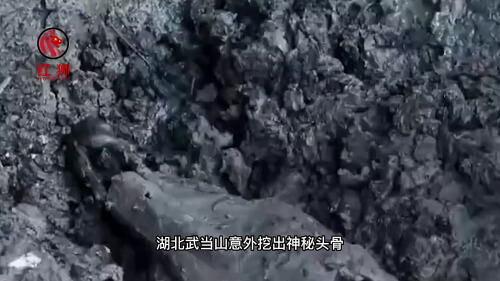 湖北武当山挖出神龙骸骨?双截棍竟是道教法器?揭秘武当山五龙宫