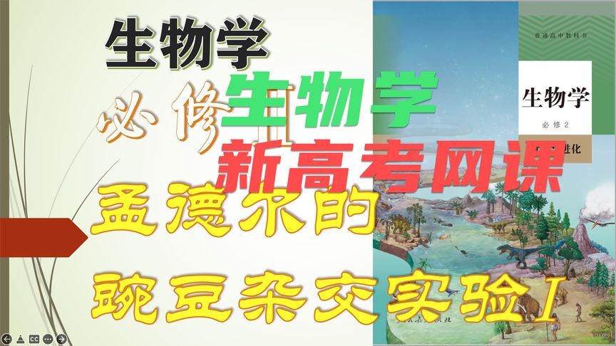 1.1.3高中生物必修2遗传学小球实验怎么模拟的看看这个视频教你