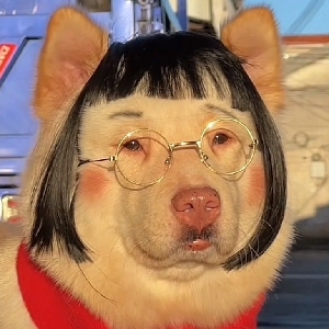 时和岁丰z 