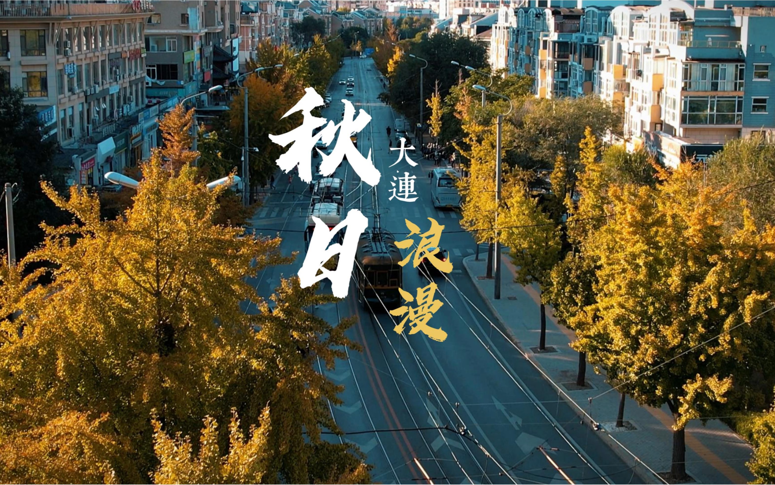 "秋日浪漫与201有轨电车的邂逅,如诗如画的时光,让每一刻都充满诗意...
