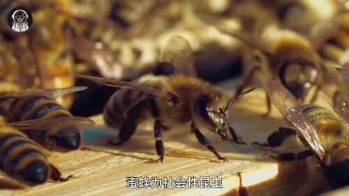 从出生到死亡,短暂的一生都经历了些什么?
