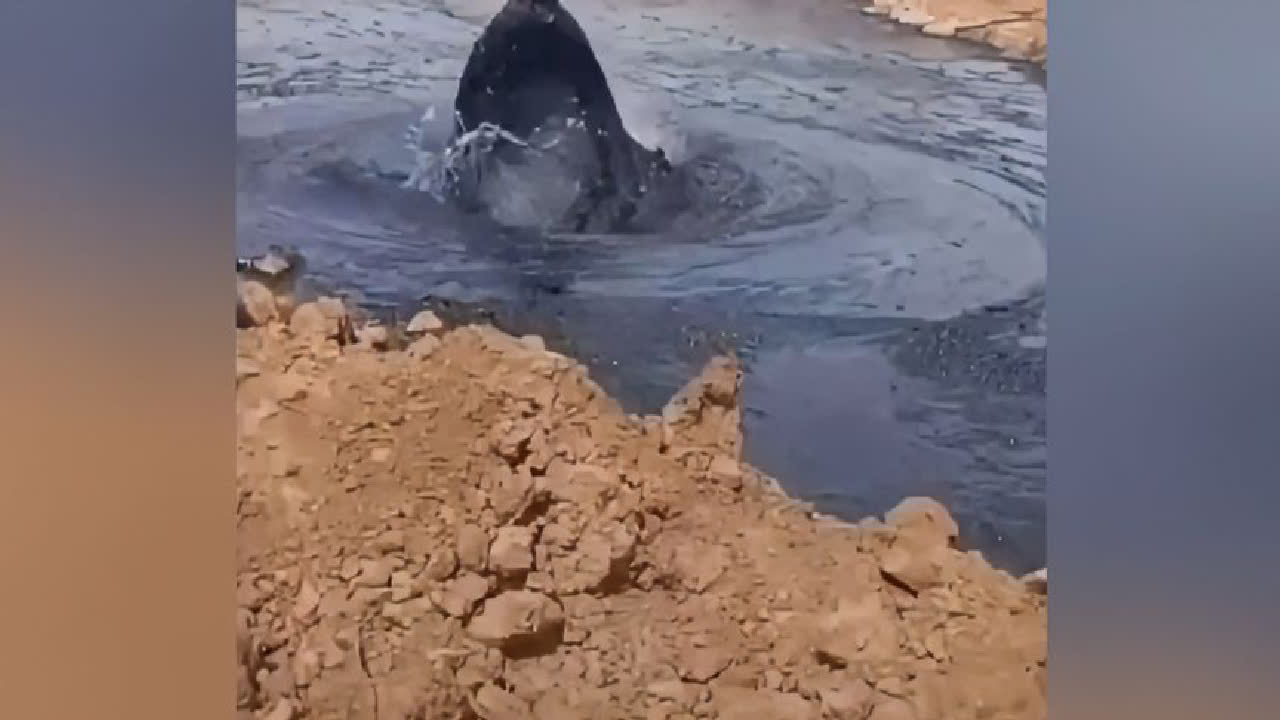 被拍到的多起诡异离奇事件,有的看了都难以置信,太不可思议了