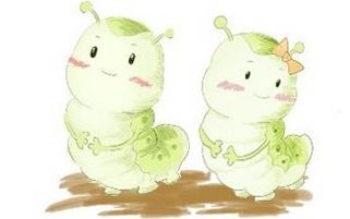 蚕宝宝养殖之我的养蚕记录