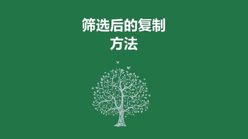 筛选后的复制方法
