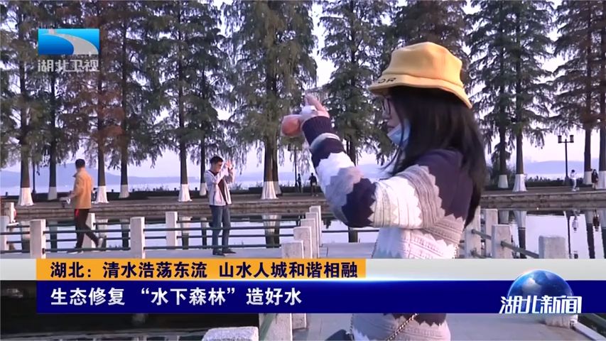 推动长江经济带发展五周年|湖北:清水浩荡东流 山水人城和谐相融
