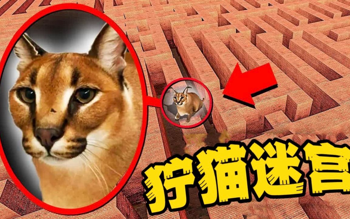 盖瑞模组:狞猫利用二蛋把大狗抓进迷宫,他们能找到传送门吗?_网络...
