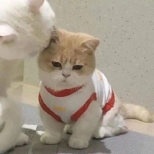 亿点点分享者 