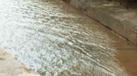 龙岩市污水处理提质增效工作见成效