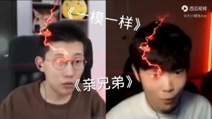 一模一样,真兄弟