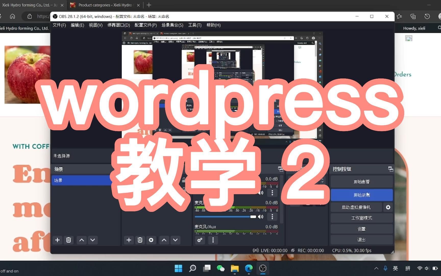 wordpress教学,外贸网站如何添加产品,网站如何修改菜单栏,为什么...