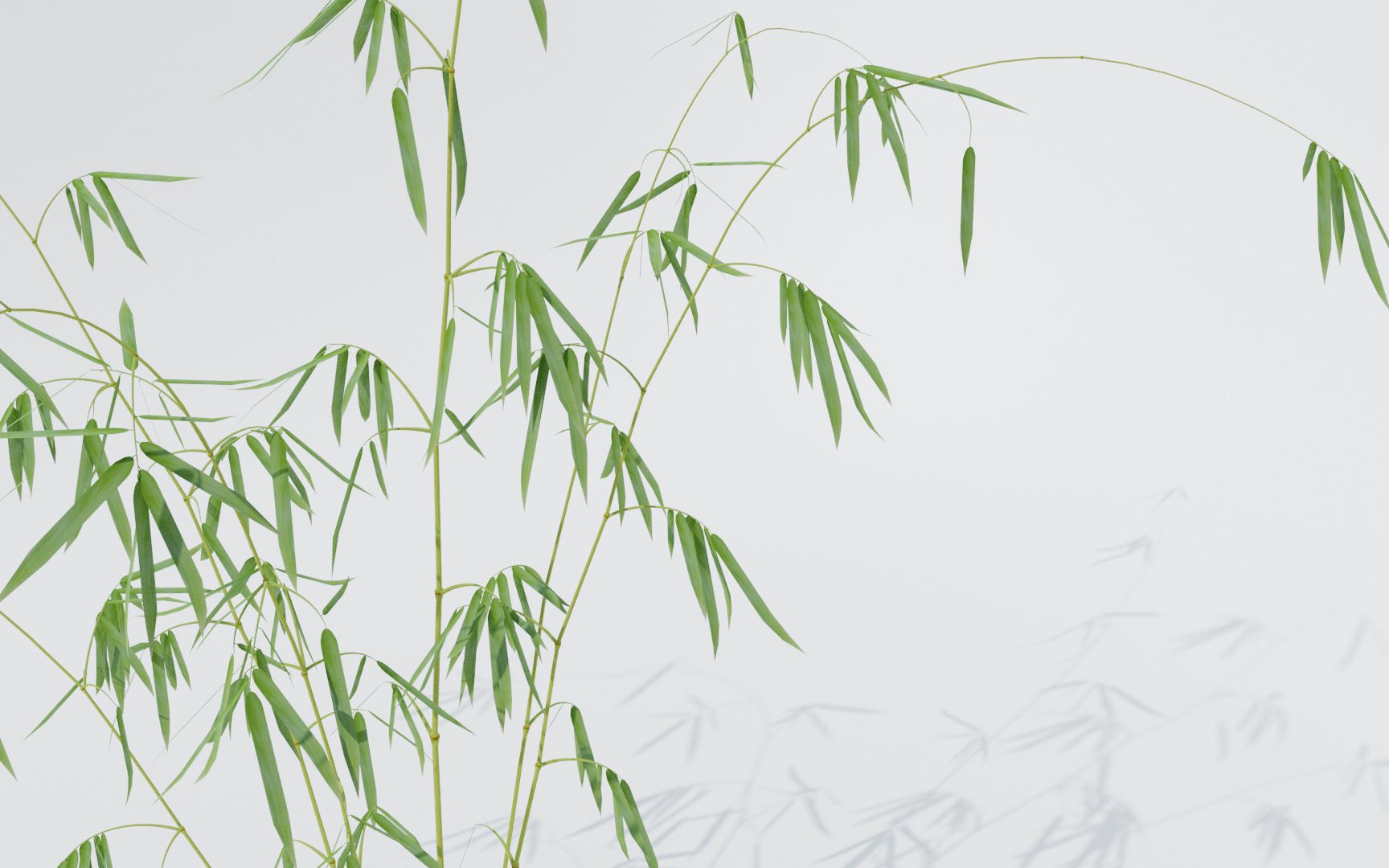 【建模】快速竹子模型