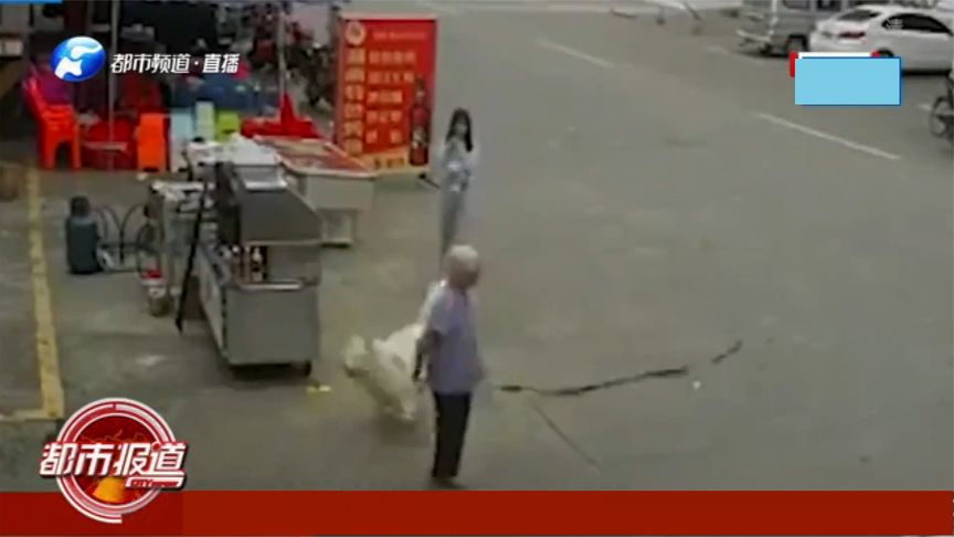 女童遭狗撕咬90秒致残疾,罚狗主人1万元,父母边哭边看被咬视频