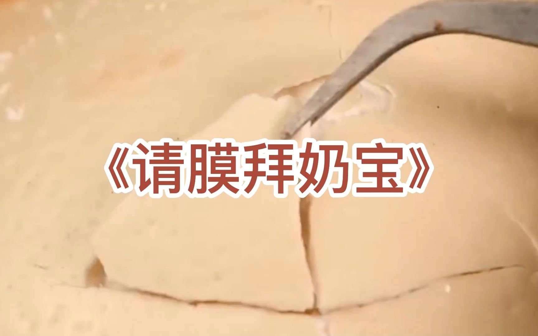 【重生+团宠+马甲+甜宠爽文】 请膜拜奶宝