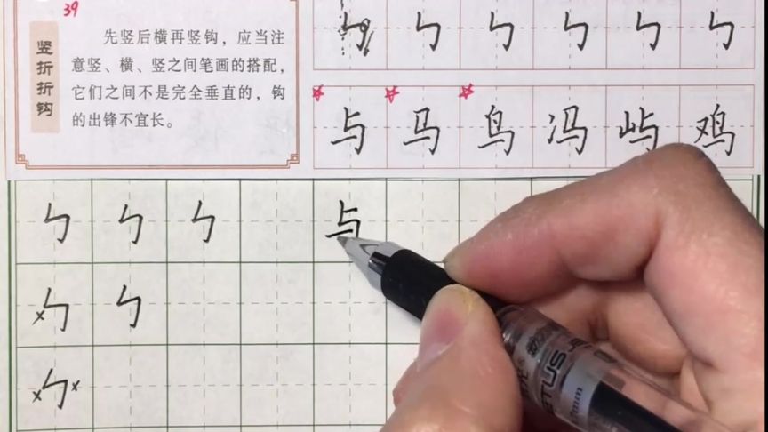 硬笔楷书的基本笔画教学视频:竖折折钩,马字,鸟字练习都用得到