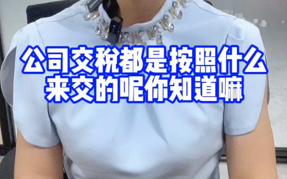 公司交税都是按照什么交的你知道嘛