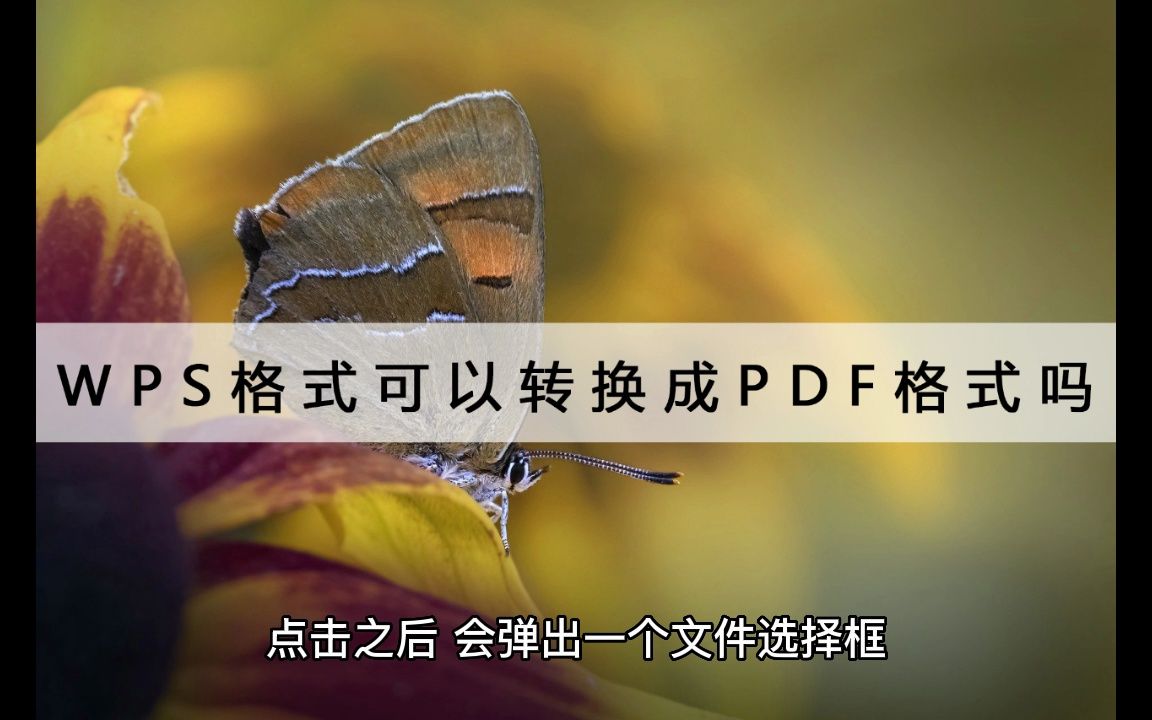 WPS格式可以转换成PDF格式吗?需要一个转换器