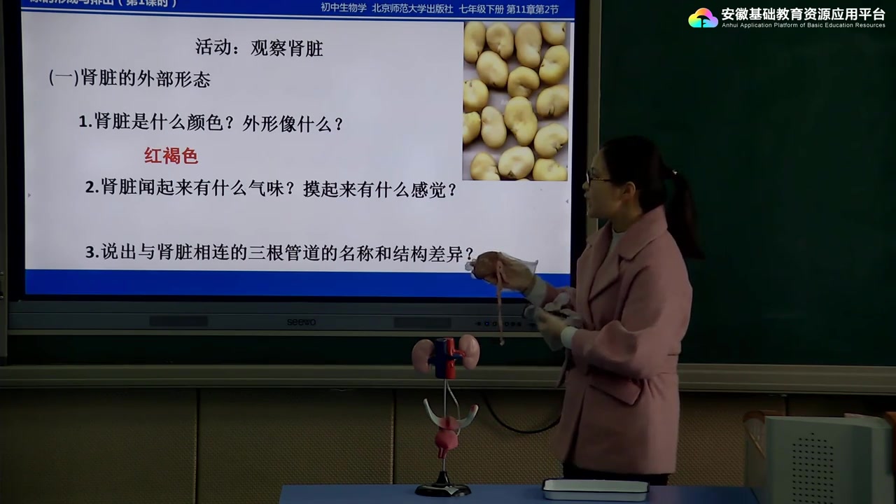 第11章第2节 第1课时尿的形成与排出