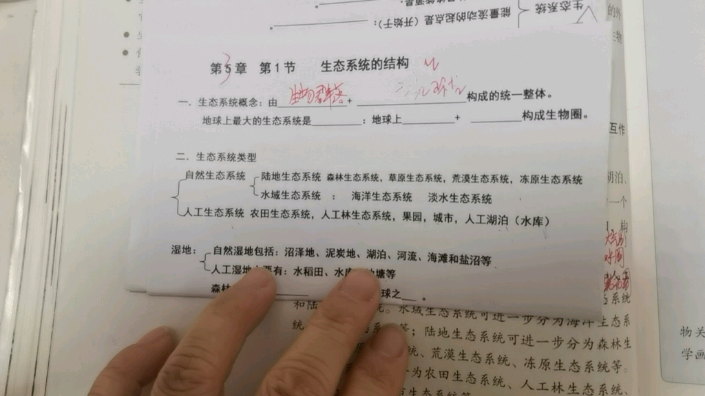 裴老师生态系统结构和能量流动知识点讲解和易考点点拨