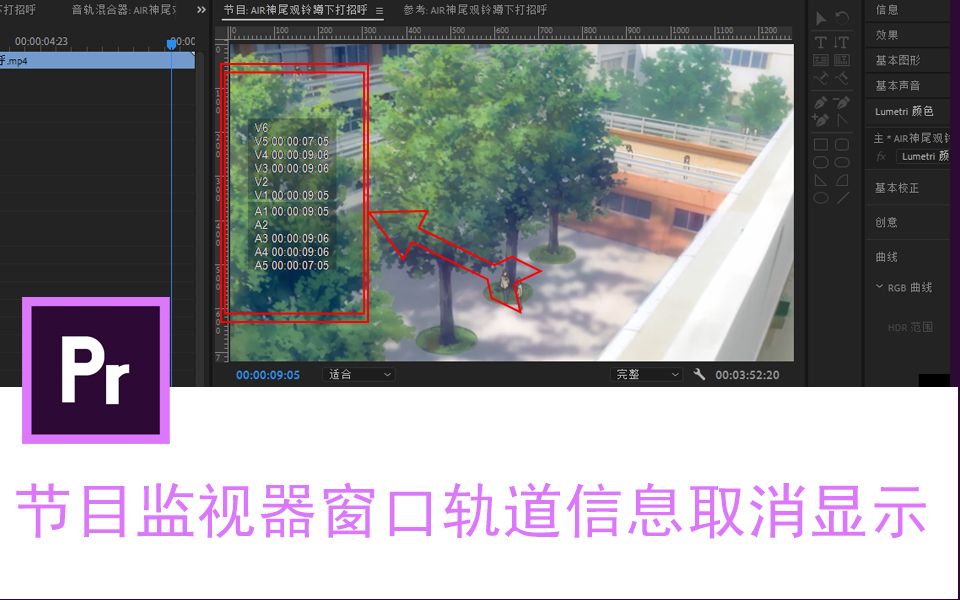 PR--节目监视器窗口中的下列轨道信息如何取消显示