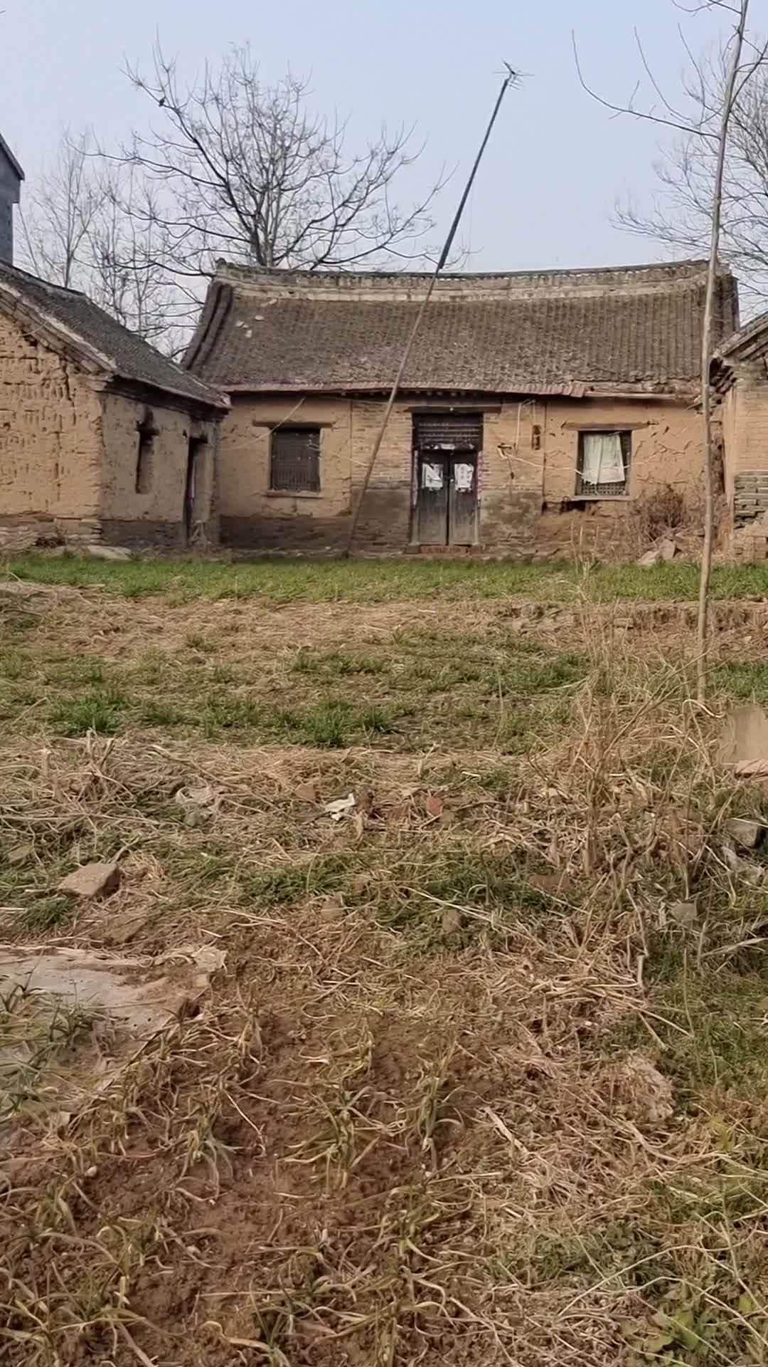 ...还有人专门扶着自制信号天线杆,人们就爱看《射雕英雄传》虽然电视...