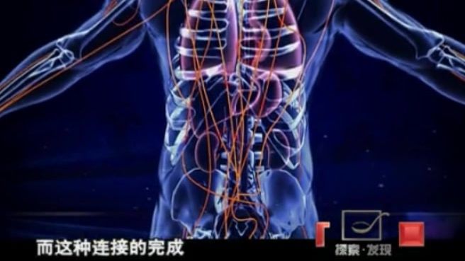 经络是什么,有什么作用?中医对经络的理解现代人很少有知道的