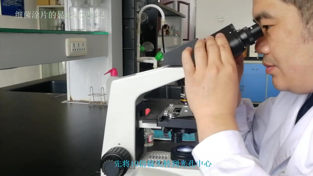 细菌涂片的显微镜观察法 王涛