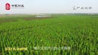 【寞君导演】沧州农业招商会宣传片 加胤制作