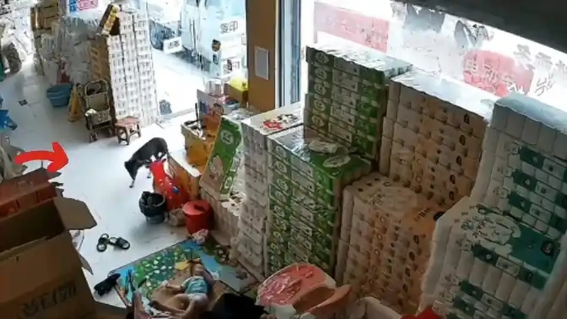 盘点父爱如山的感动瞬间,父爱如光,照亮每一个瞬间