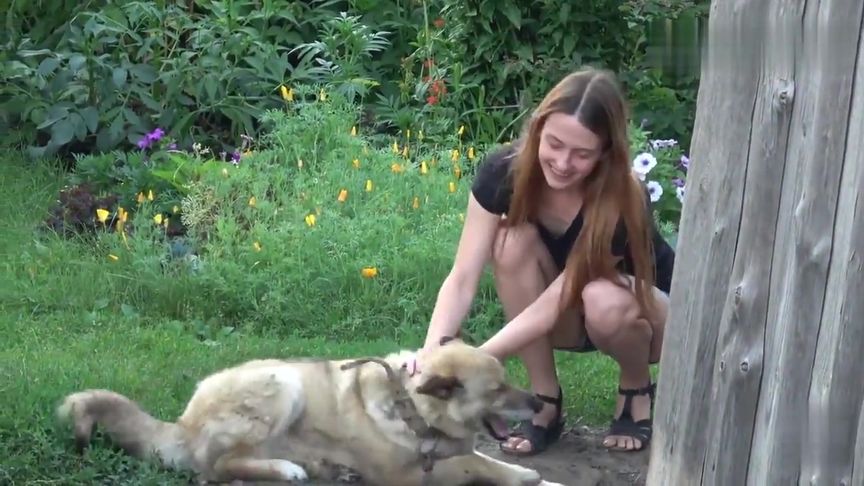 实拍俄罗斯的农村风景,看看俄罗斯的农村生活是什么样的