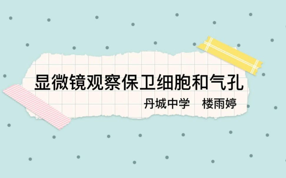 显微镜观察保卫细胞和气孔