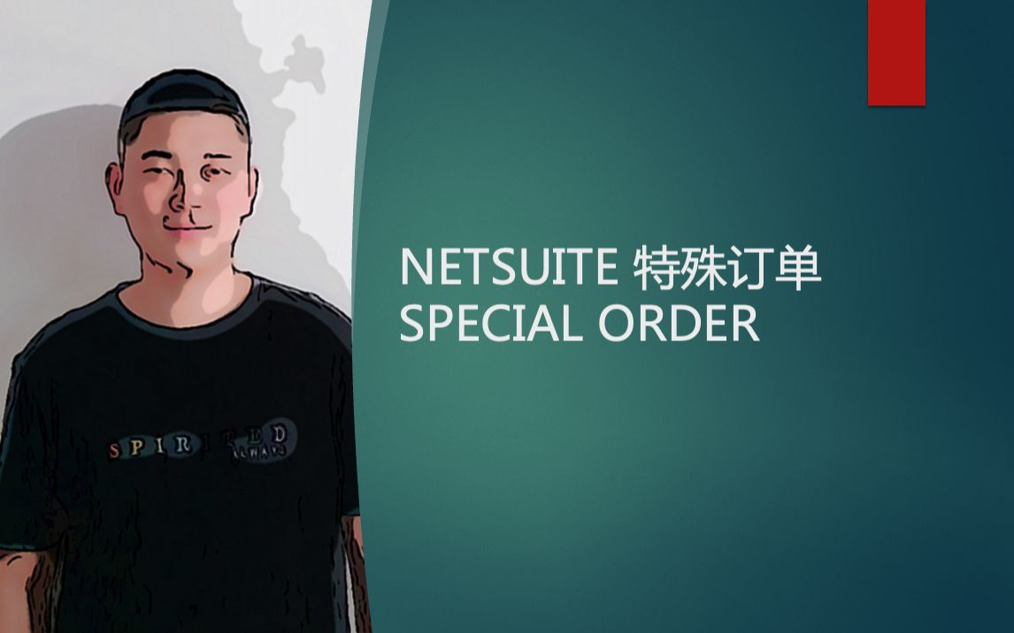 NETSUITE 特殊订单 SPECIAL ORDER