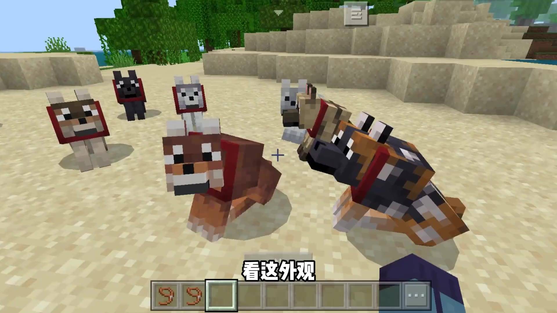 我的世界生存必备模组!java版最新的变种狼