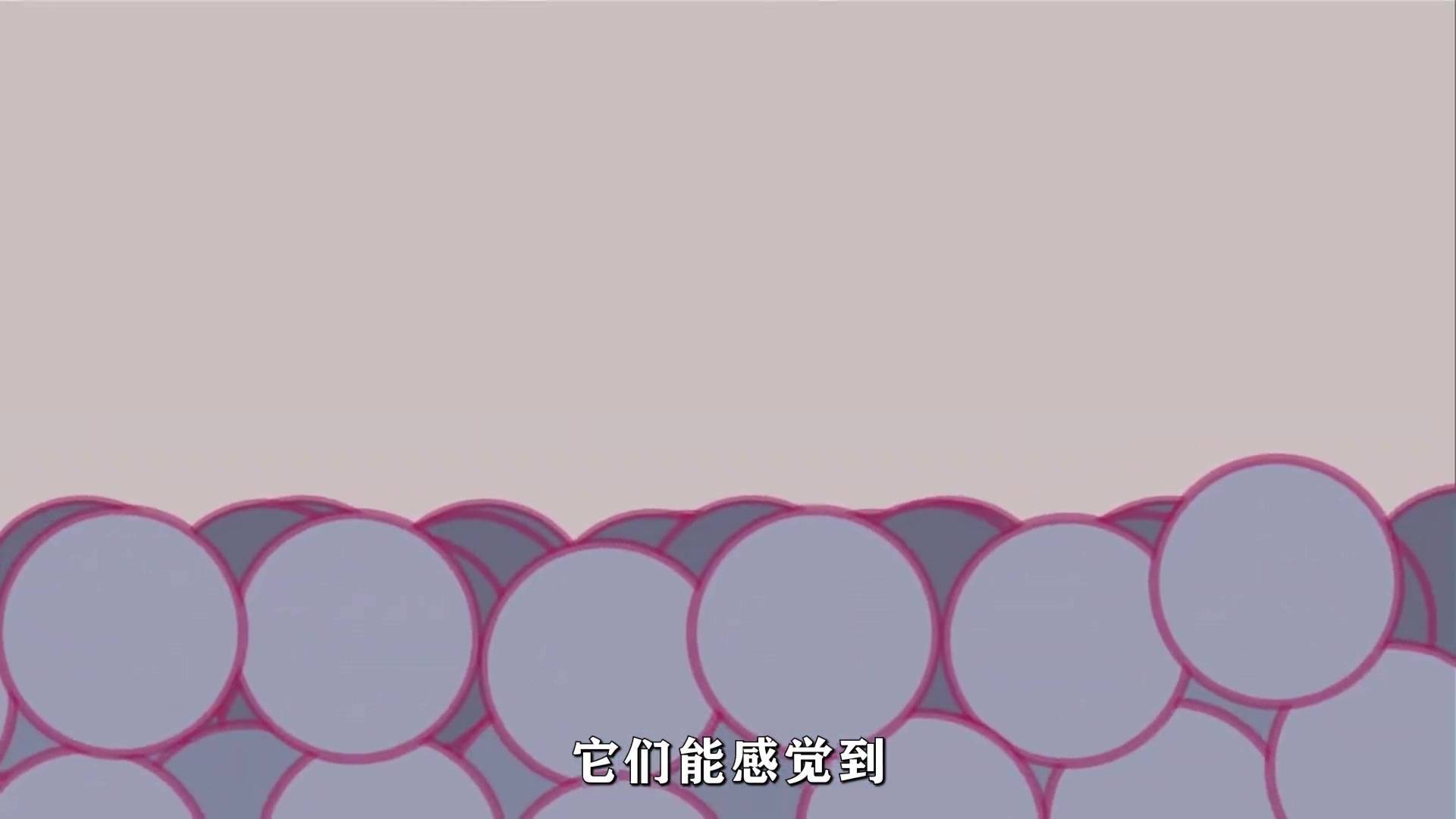 酶的作用与本质、影响酶活性的因素 #生物