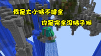 我的世界:我开外挂就是为了反外挂的!