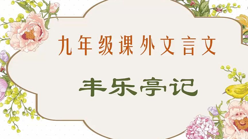 《初中9年级课内外文言文微课》58丰乐亭记
