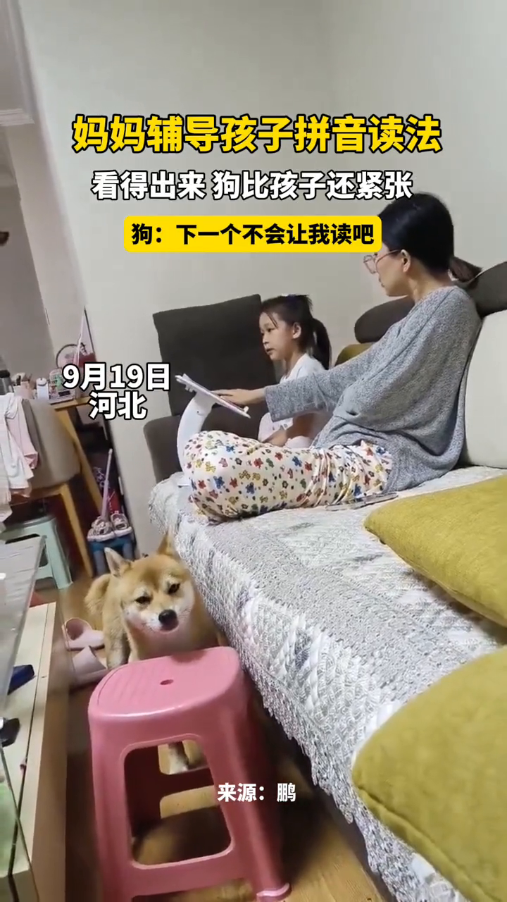 妈妈辅导孩子拼音读法看得出来狗比孩子还紧张