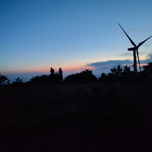 校长先升 