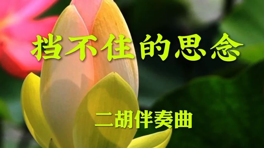 《挡不住的思念》二胡伴奏曲